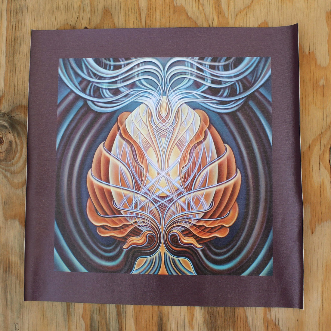 New Beginnings – Amanda Sage Collection