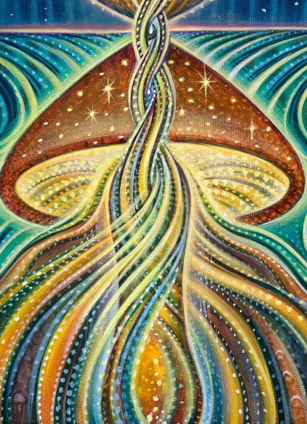 Origins – Amanda Sage Collection